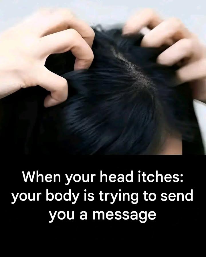 Itchy Scalp: What Are the Possible Causes? Answers From a Dermatologist ...